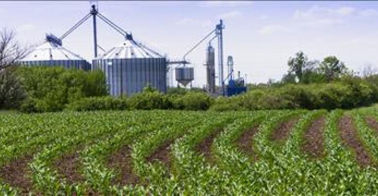 Corn Depth: How Deep Do You Plant? - T-L Irrigation