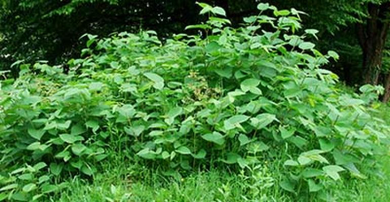 Raise Your Invasive Species Awareness - T-L Irrigation